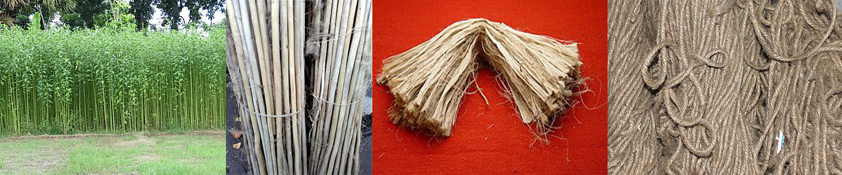 How would you know... - A blog about anything and everything...